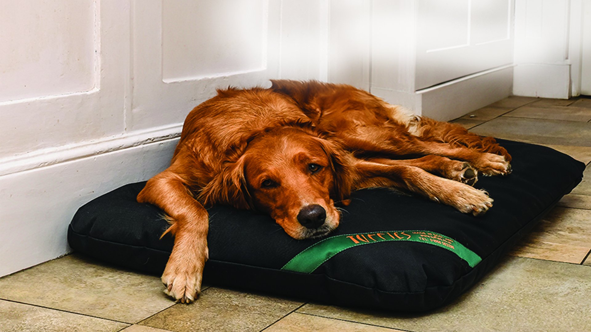 Tuffies Dog Beds - BASC Trade Directory