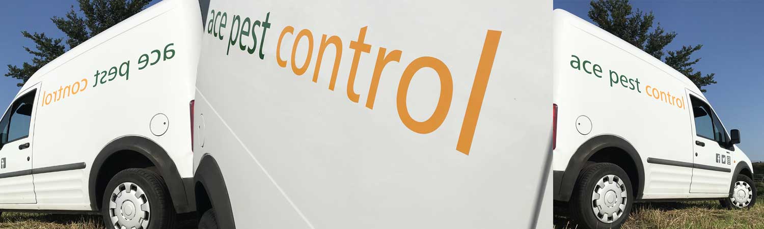 Ace Pest Control Limited Norfolk - BASC Trade Directory