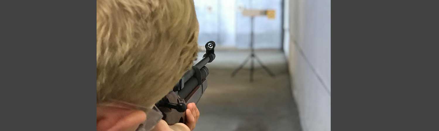 GM Guns.com - BASC Trade Directory